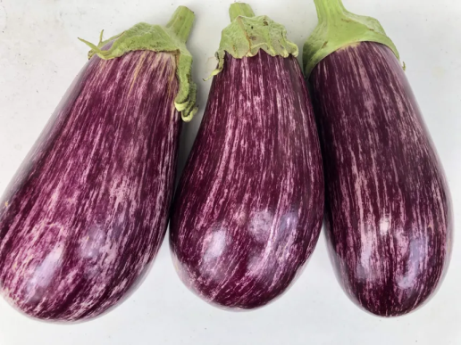 Graffiti Eggplant | Wind Dancer Farm